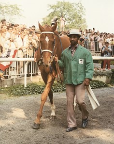 Secretariat - Slideshow - BloodHorse