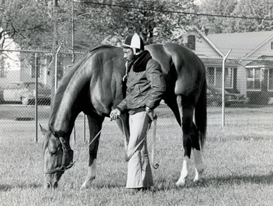 Secretariat - Slideshow - BloodHorse