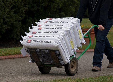 Hallway Feeds Becomes TOBA Sponsorship Partner - BloodHorse