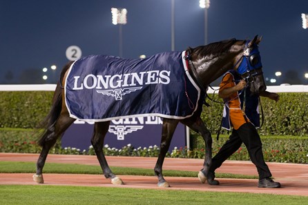 Miqyaas (GB) - Horse Profile - BloodHorse