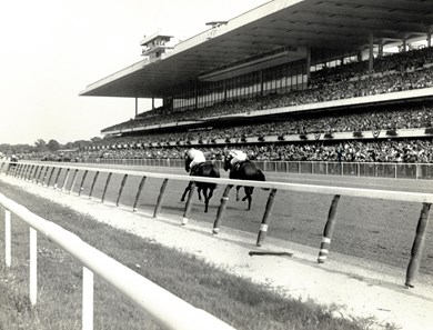 Secretariat - Slideshow - BloodHorse