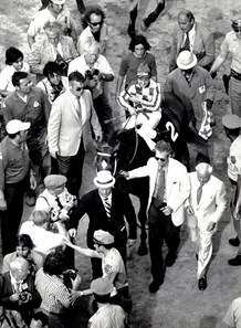 Secretariat - Slideshow - BloodHorse