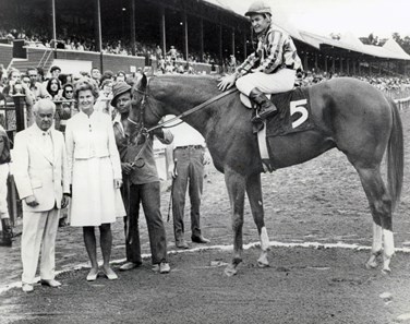 Secretariat - Slideshow - BloodHorse