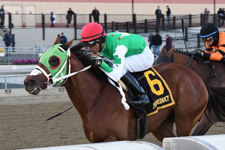 Diamond King - Horse Profile - BloodHorse