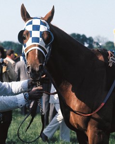Secretariat - Horse Profile - BloodHorse