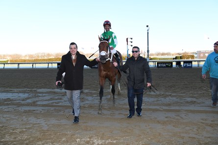 Diamond King - Horse Profile - BloodHorse