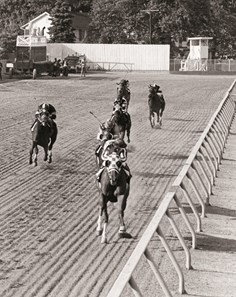 Secretariat - Slideshow - BloodHorse