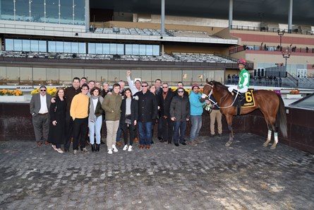 Diamond King - Horse Profile - BloodHorse