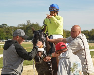 Trophy Chaser - Horse Profile - BloodHorse