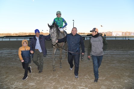 Water White - Horse Profile - BloodHorse