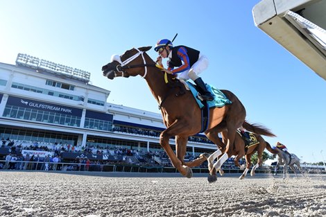 Tonalist's Shape Returns in Hollywood Wildcat - BloodHorse