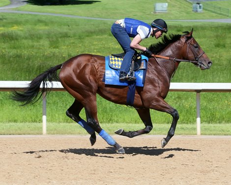 Race Entries, Links to May 1-2 Graded Stakes Previews - BloodHorse