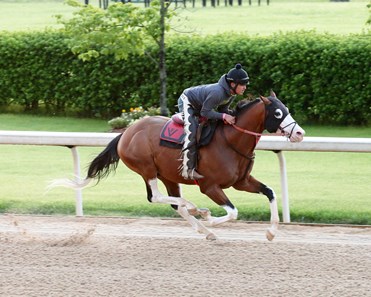 Southern Phantom - Horse Profile - BloodHorse