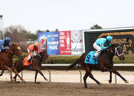 TVG Evolves Amidst Changes in Sports Landscape - BloodHorse