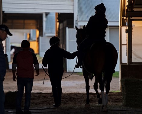 Keeneland Barn Released From Strangles Quarantine - BloodHorse