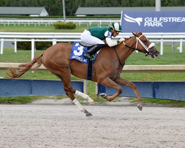 Tonalist's Shape - Horse Profile - BloodHorse