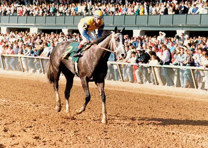 Winning Colors - Slideshow - BloodHorse