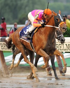 Ruler On Ice - Horse Profile - BloodHorse