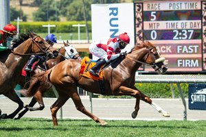 Thoroughbred Racing - BloodHorse