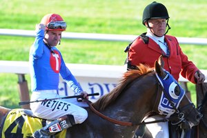 Mine That Bird Returns to Kentucky Derby Museum - Video - - BloodHorse