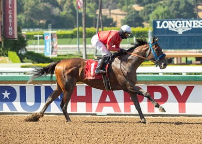 Collusion Illusion - Horse Profile - BloodHorse