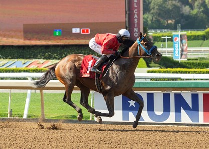 Collusion Illusion - Horse Profile - BloodHorse