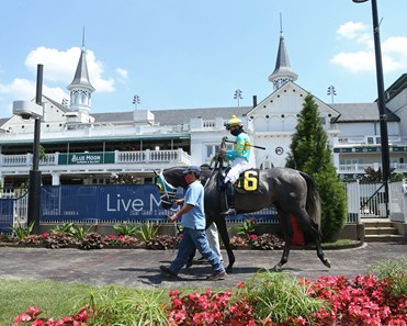 Field Pass - Horse Profile - BloodHorse