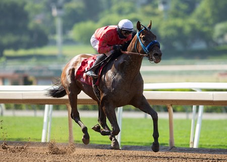 Collusion Illusion Improves to 4-for-5 in Laz Barrera - BloodHorse