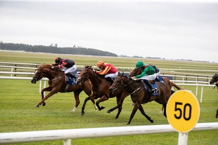 Galileo Chrome (IRE) - Horse Profile - BloodHorse