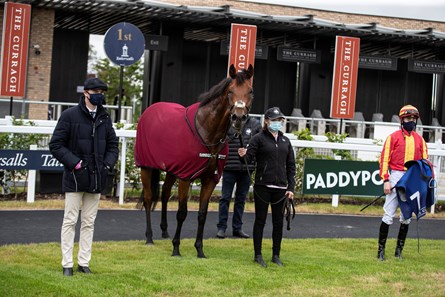 Galileo Chrome (IRE) - Horse Profile - BloodHorse