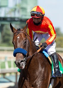 McKinzie - Horse Profile - BloodHorse