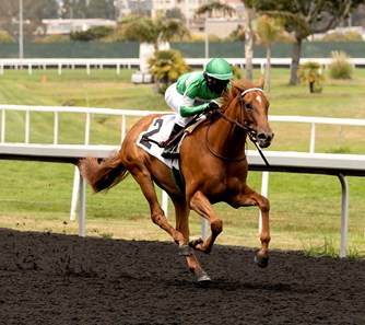 Exaggerator - Horse Profile - BloodHorse