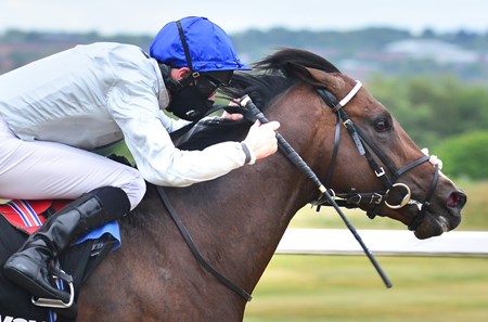 Palace Pier (GB) - Horse Profile - BloodHorse