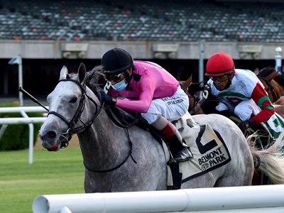 Equibase | Horse Racing | Horse Racing Entries | Horse Racing Results ...