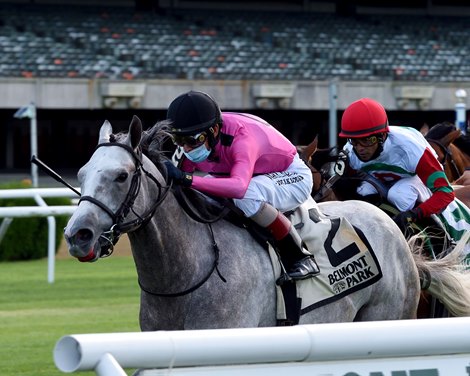 Sir Cat Trio Returns in Quick Call Stakes - BloodHorse