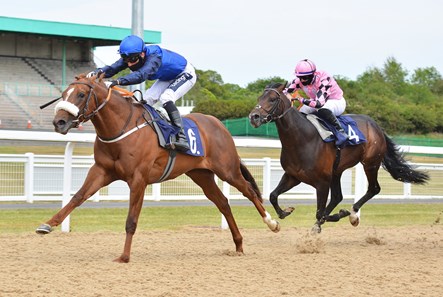 Muker (IRE) - Horse Profile - BloodHorse