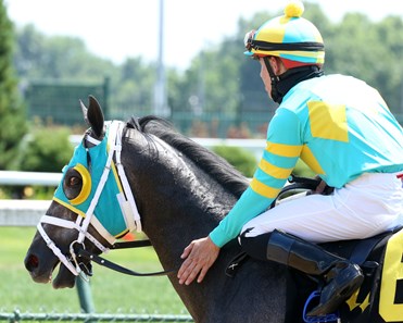 Field Pass - Horse Profile - BloodHorse