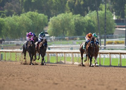 McKinzie - Horse Profile - BloodHorse