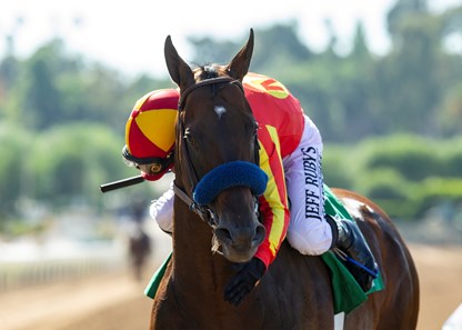 McKinzie - Horse Profile - BloodHorse