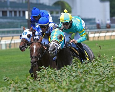 Field Pass - Horse Profile - BloodHorse