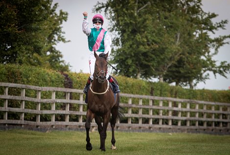 Pedigree Analysis: Siskin Shines for Fappiano Line - BloodHorse