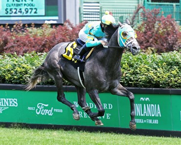 Field Pass - Horse Profile - BloodHorse