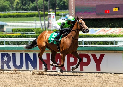 My Girl Red - Horse Profile - BloodHorse