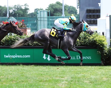 Field Pass - Horse Profile - BloodHorse