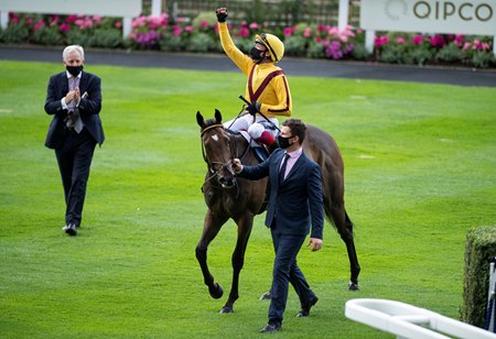 Kodiac Lights Up Ascot June 20 With Three Group Winners - BloodHorse