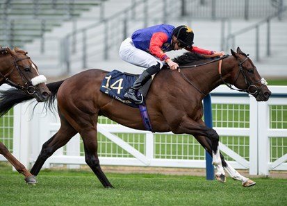 Tactical (GB) - Horse Profile - BloodHorse