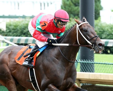 Amani's Eagle - Horse Profile - BloodHorse