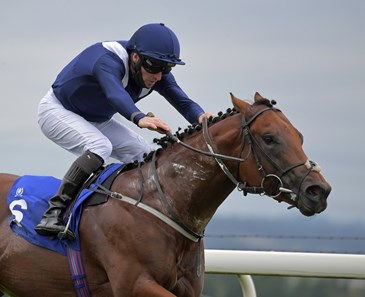 Regional (GB) - Horse Profile - BloodHorse