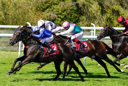 Mohaather (GB) - Horse Profile - BloodHorse