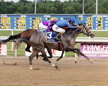 Snowball - Horse Profile - BloodHorse